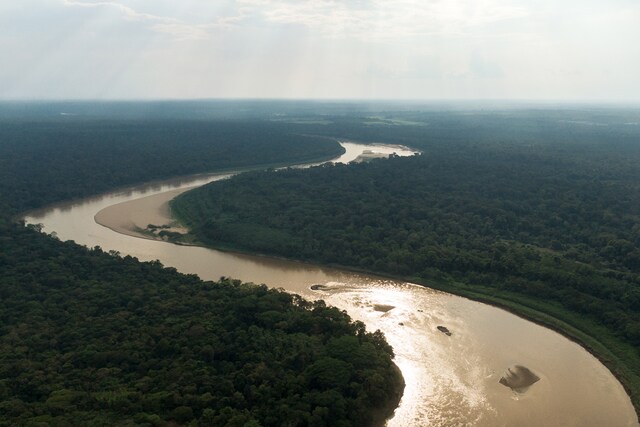 Perpetual Planet Initiative - Preserving the natural world | Rolex®